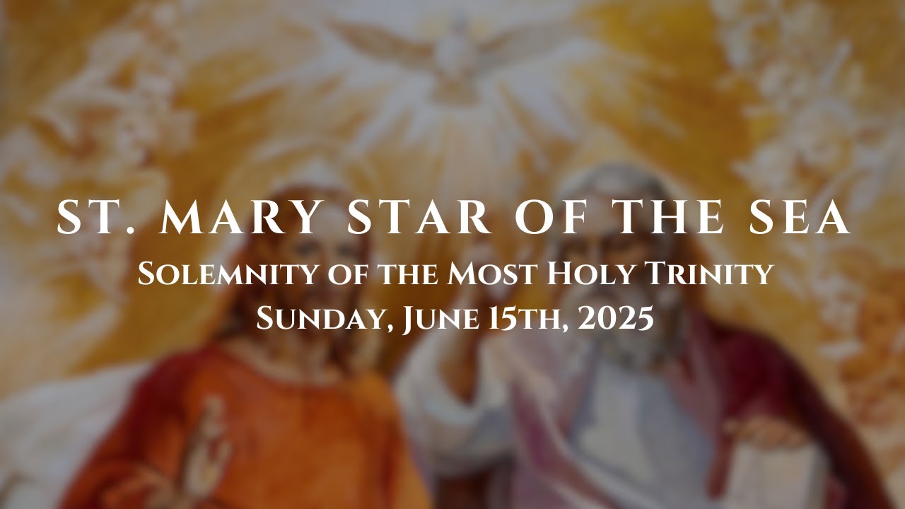 Homily for the Solemnity of the Most Holy Trinity - YouTube
