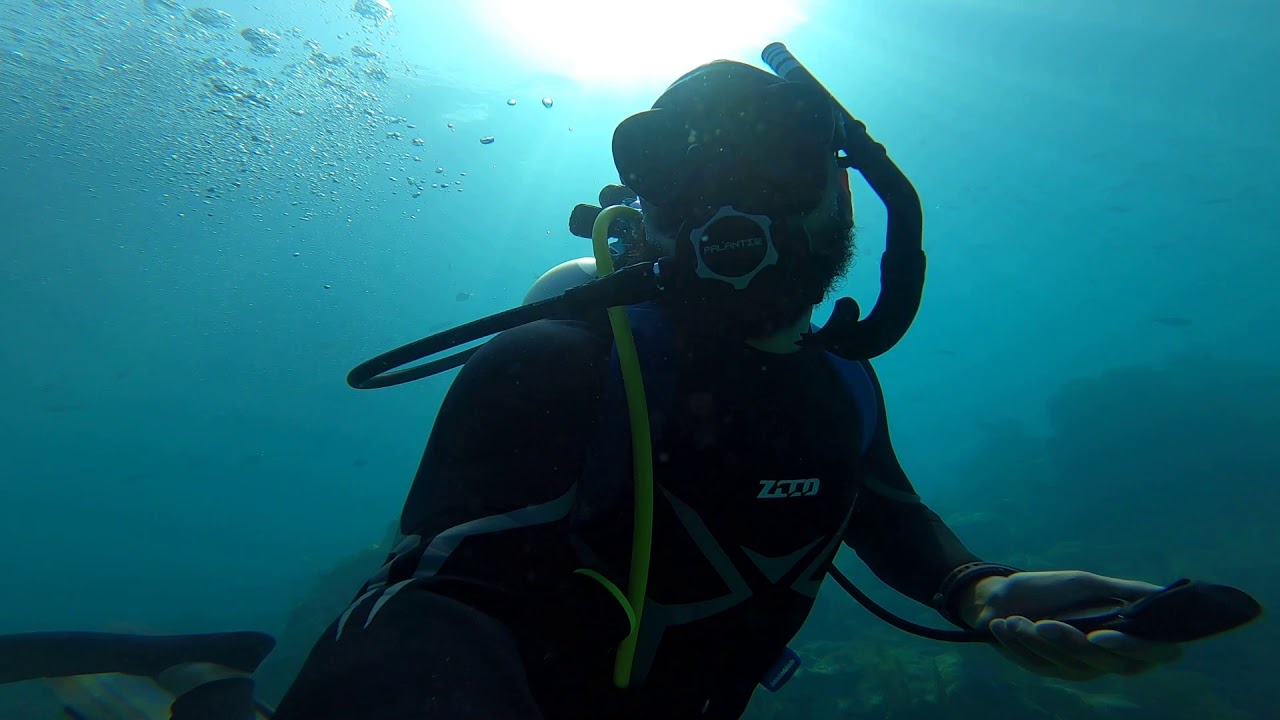 scuba looe key reef - YouTube