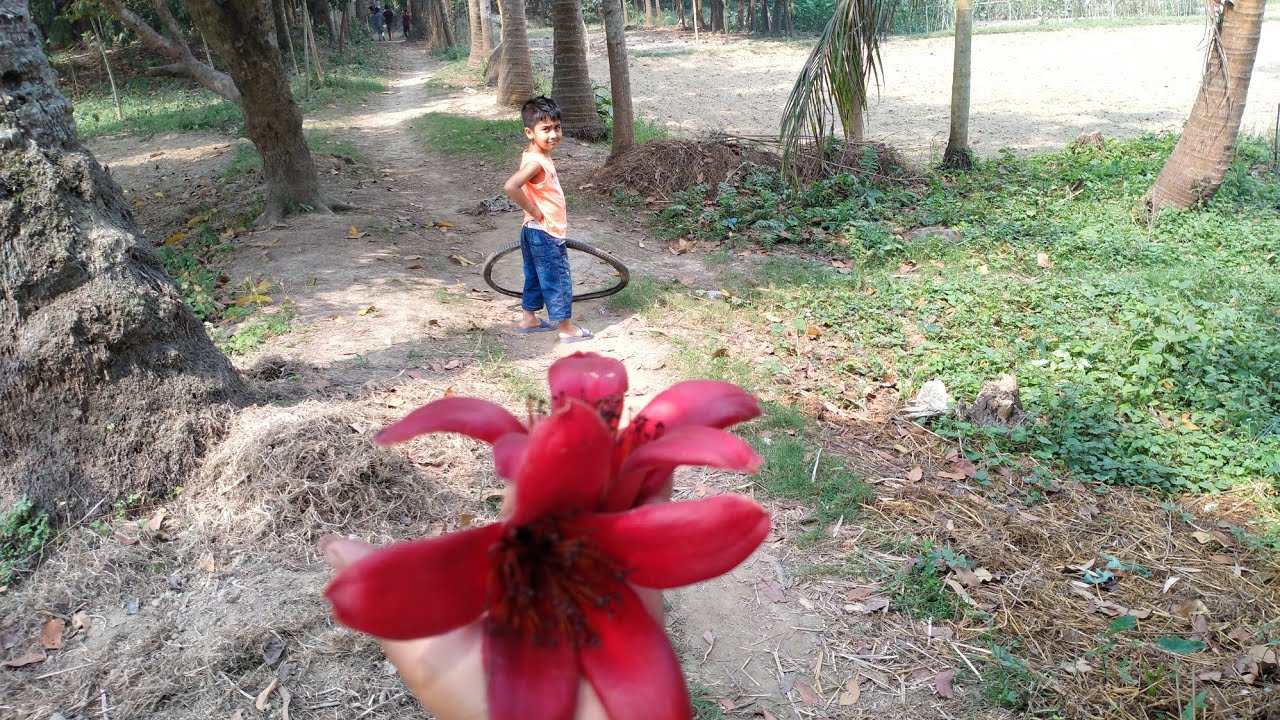 বাচচাদের সব কিছু দিয়ে খেলতে দেওয়া উচিত।।।Labony Vlog - YouTube