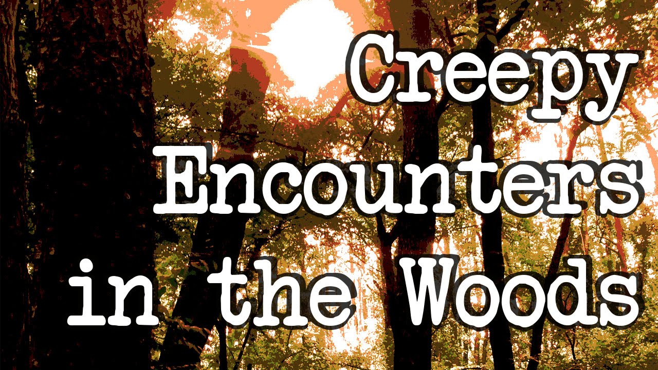 True Scary Stories: Explorers of Reddit Reveal their Creepy Encounters ...