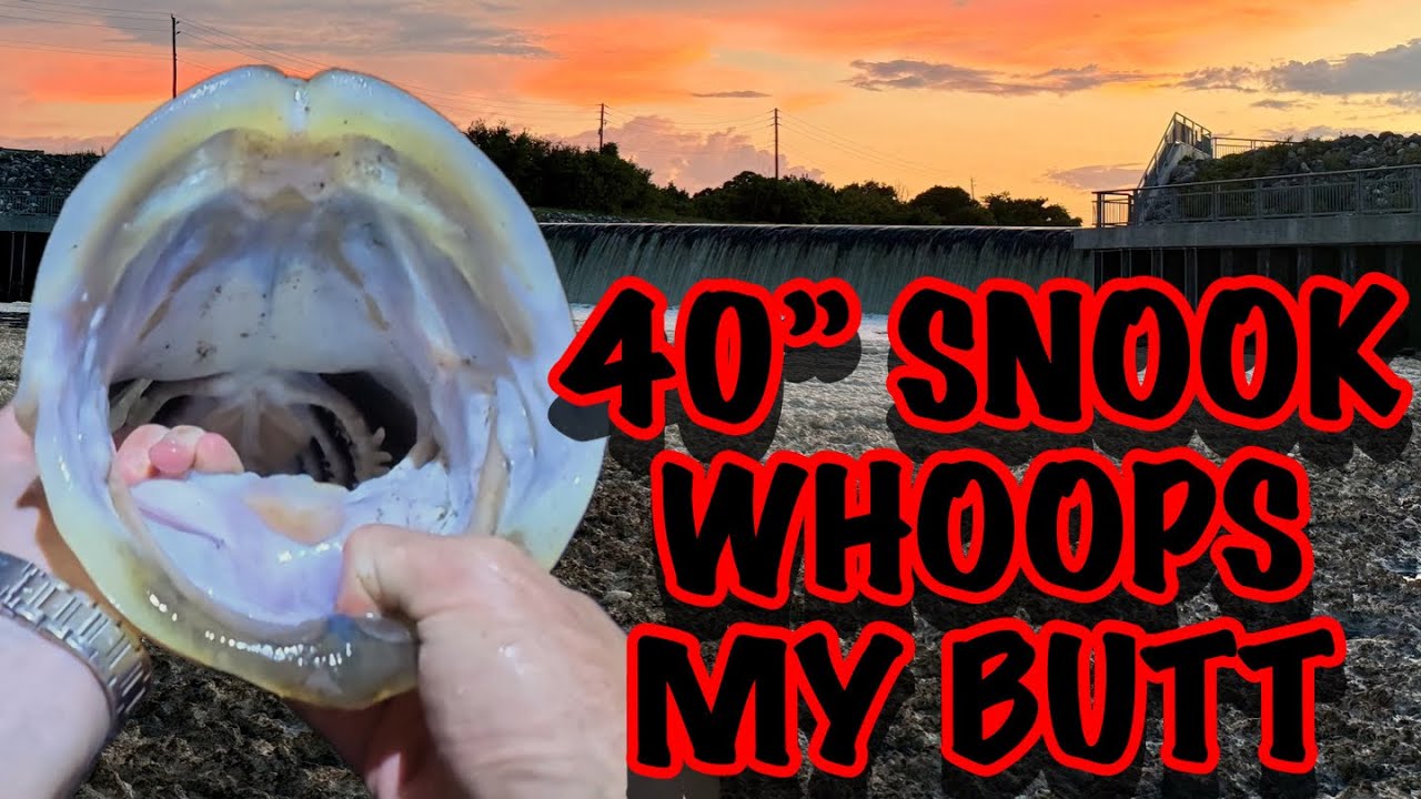 Coastal Tour PT 5 - 40” SNOOK IN FORT PIERCE FLORIDA - YouTube