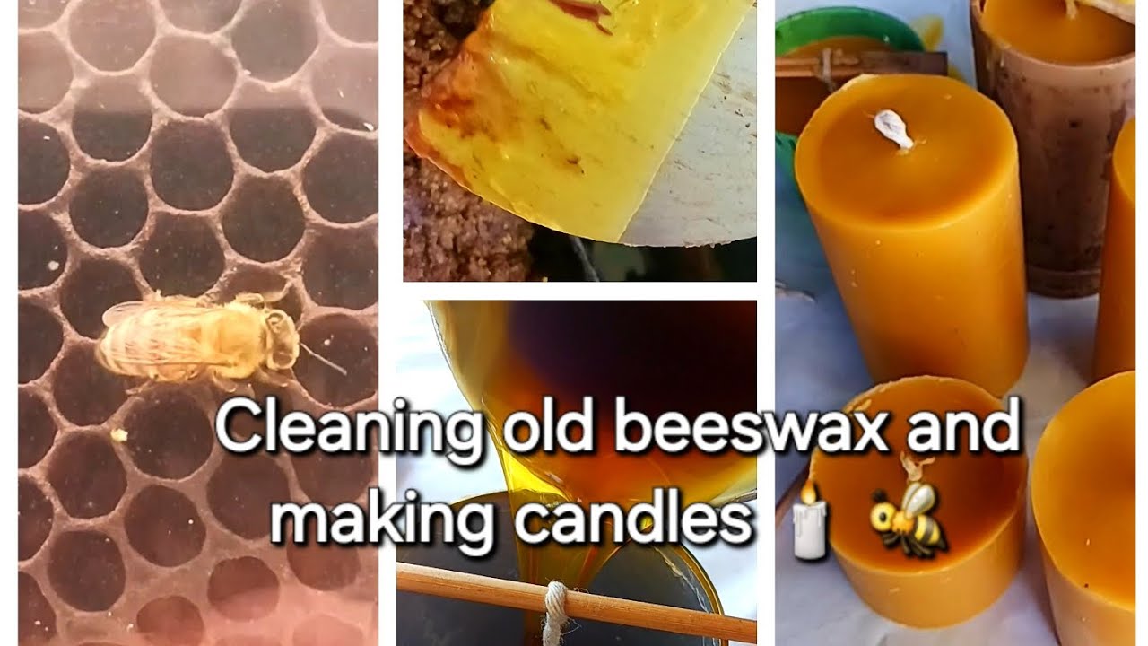 Cleaning old beeswax and making beeswax candles 🐝 🐝 🐝 🕯. - YouTube