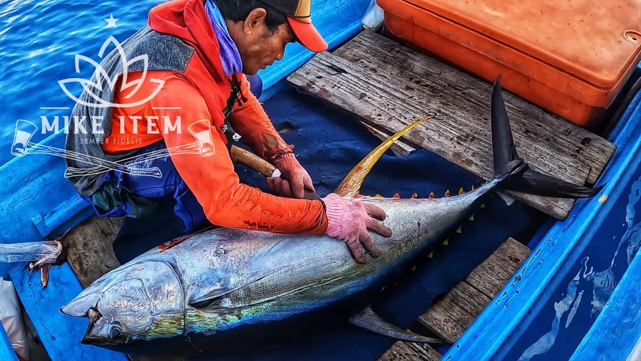 CARA NELAYAN IKAN TUNA SIRIP KUNING PULAI SERAM MALUKU MEMPROSES IKAN ...