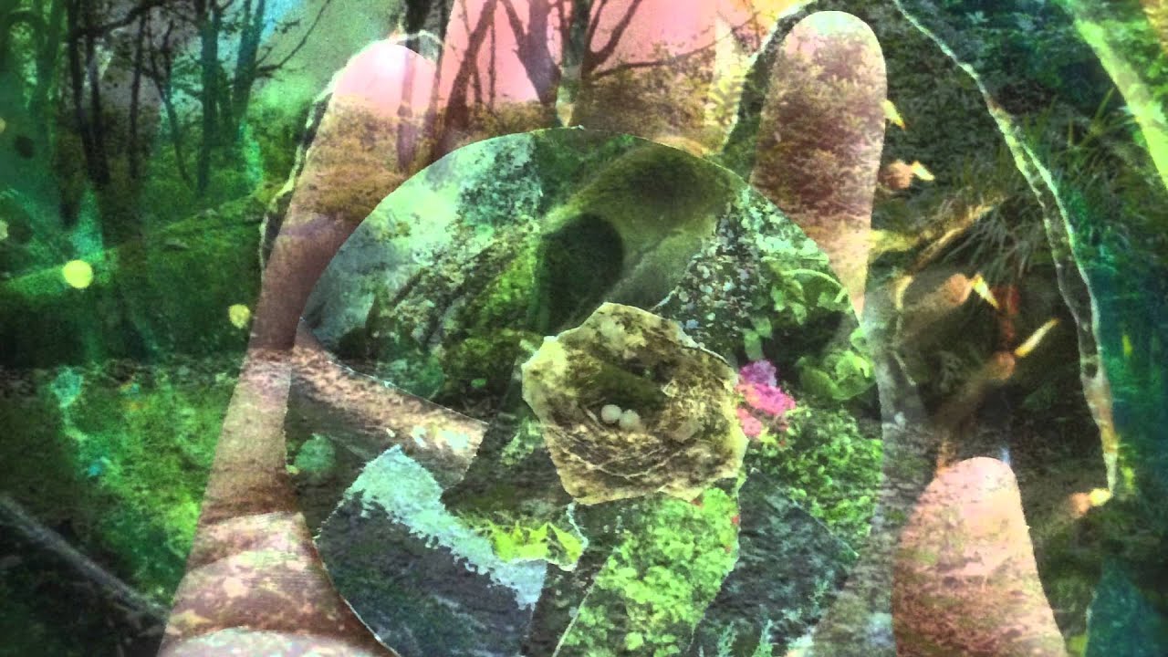 Spring Equinox | a Guided Journey with Cat Caracelo - YouTube