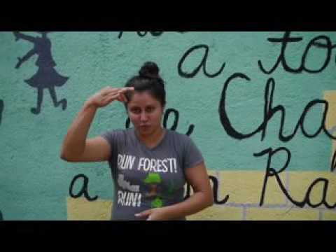 Nicaraguan Sign Language Teacher Presentation - YouTube