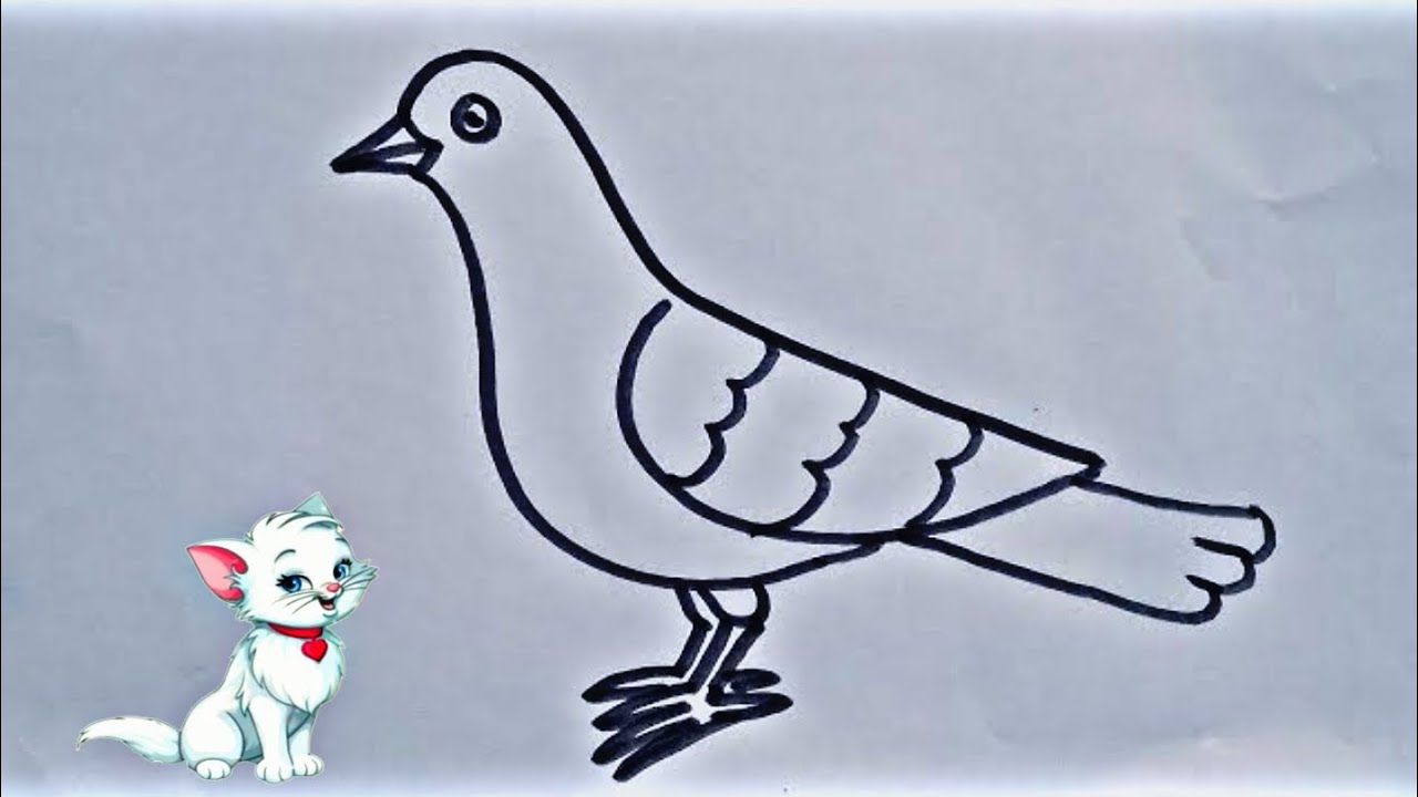 how to draw a pigeon | how to draw a pigeon bird | learn how to draw an ...