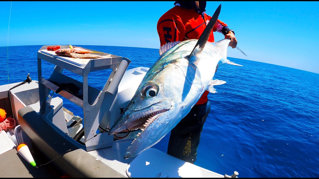 Spearfishing & Fishing Australia - Coral Trout Catch And Cook (Lucinda ...