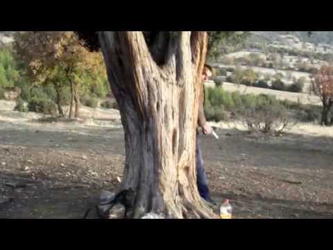 KURTLAR VADİSİ YAZIR (DenizLi)