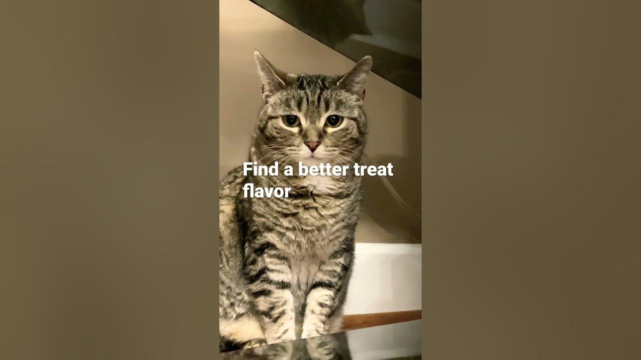 Things you will never hear me say - YouTube