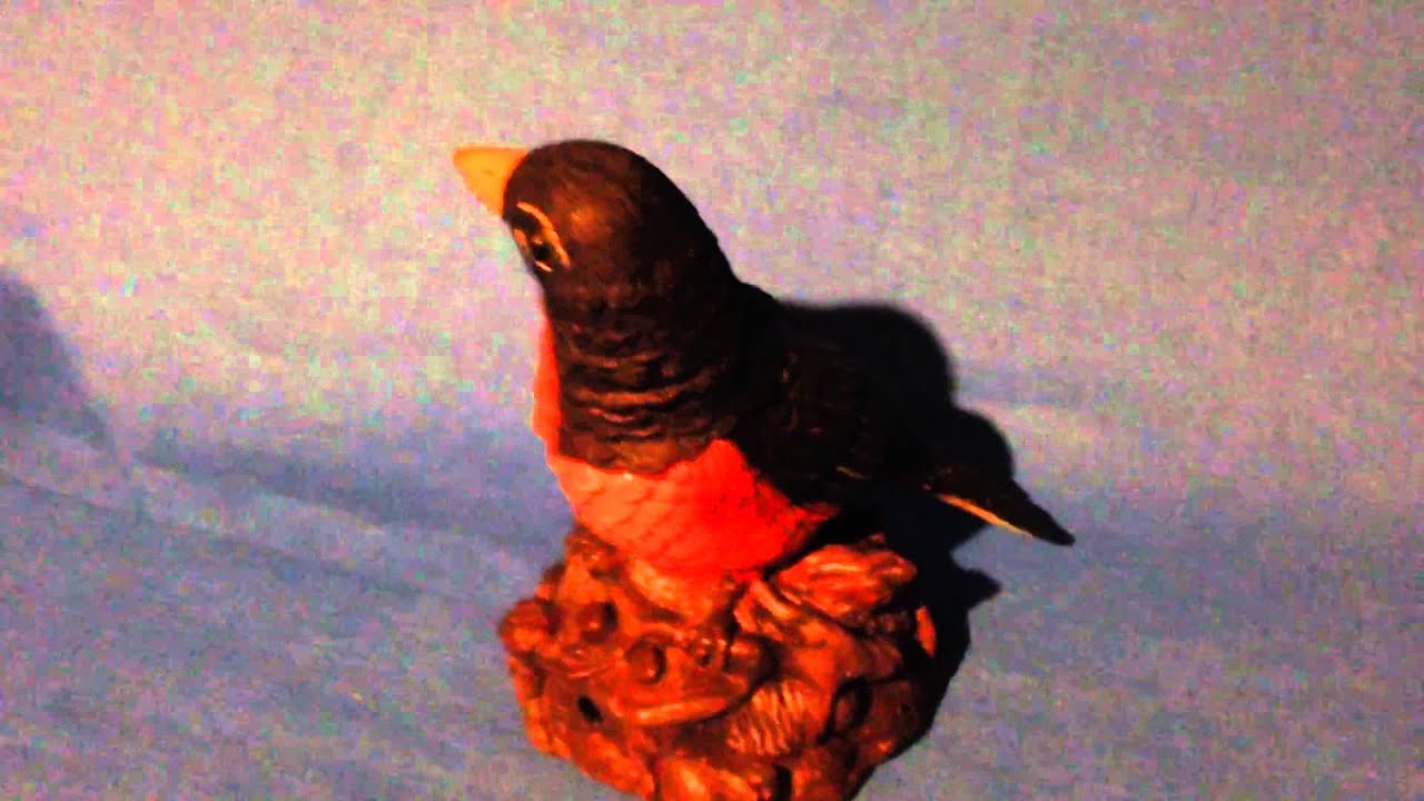 Gemmy animated singing and chirping robin - YouTube