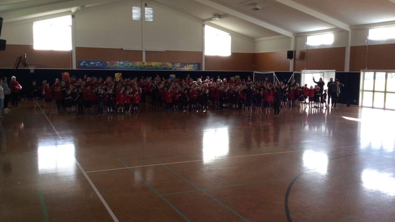 Ngatea School - Tutira Mai - YouTube