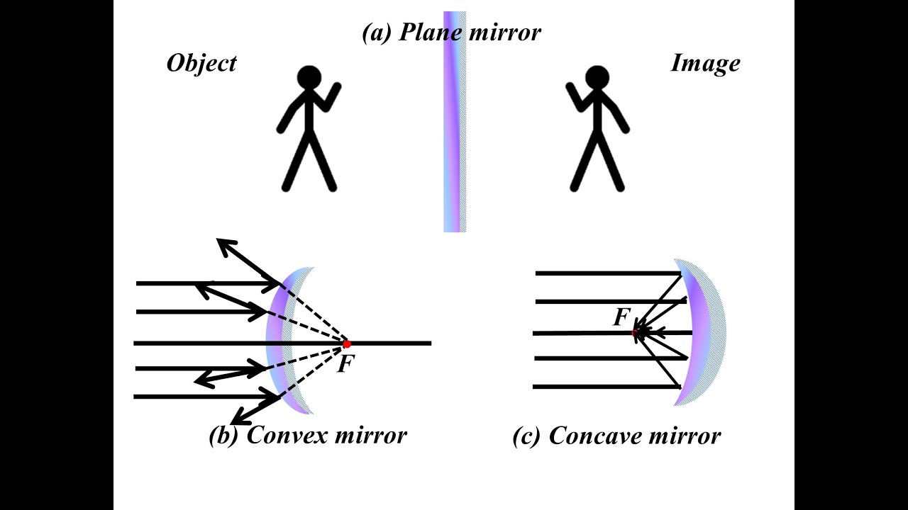 Different Types of Mirrors - A Comprehensive Guide for 10th Standard ...