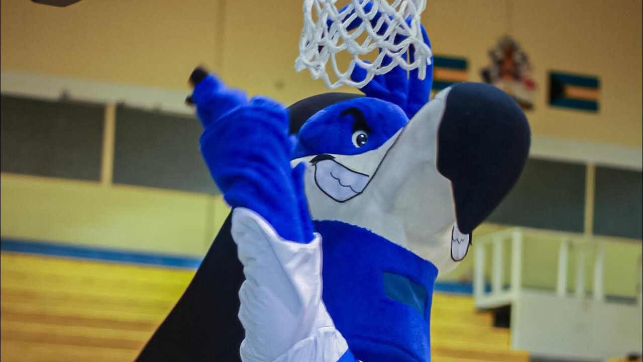 UB Mascot Blu Birthday Campus walk #gomingoes - YouTube