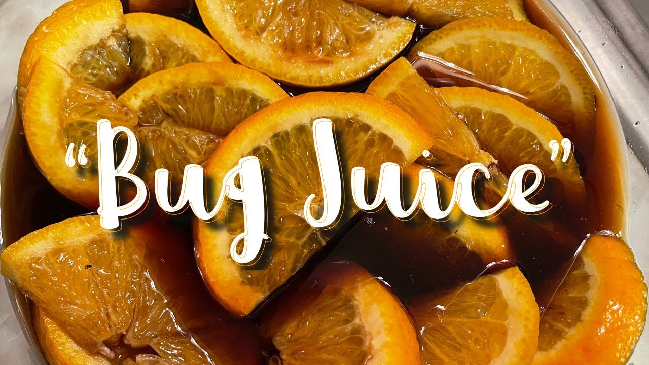 Bug Juice Recipe