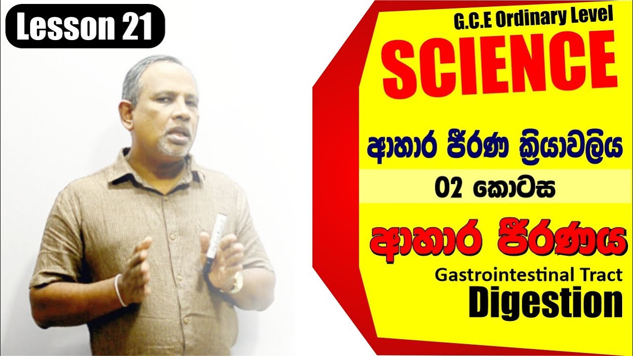 OL Science | Lesson 21| ආහාර ජීරණ ක්‍රියාවලිය (02 කොටස) | ආහාර ජීරණය ...