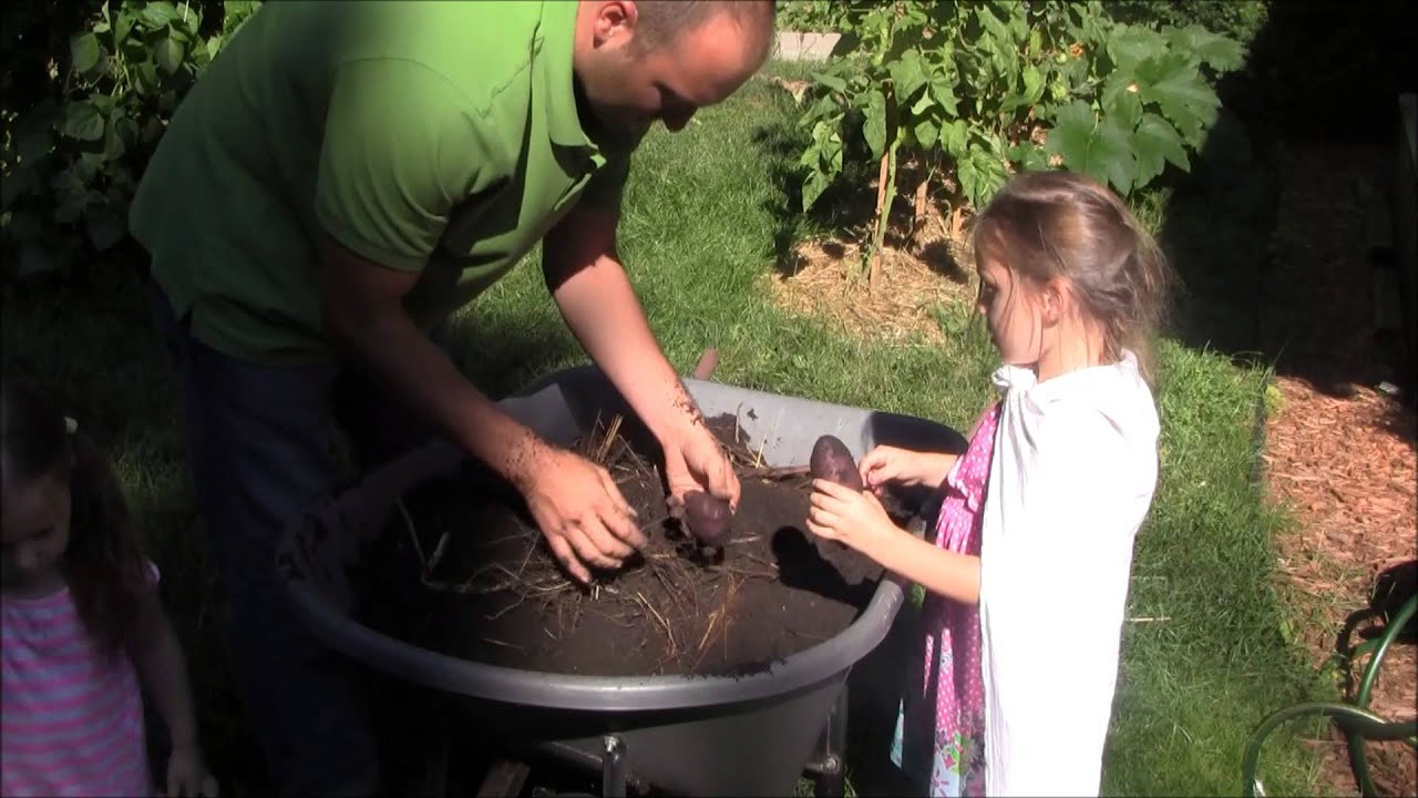 The Mutant Purple Potato Reveal - YouTube