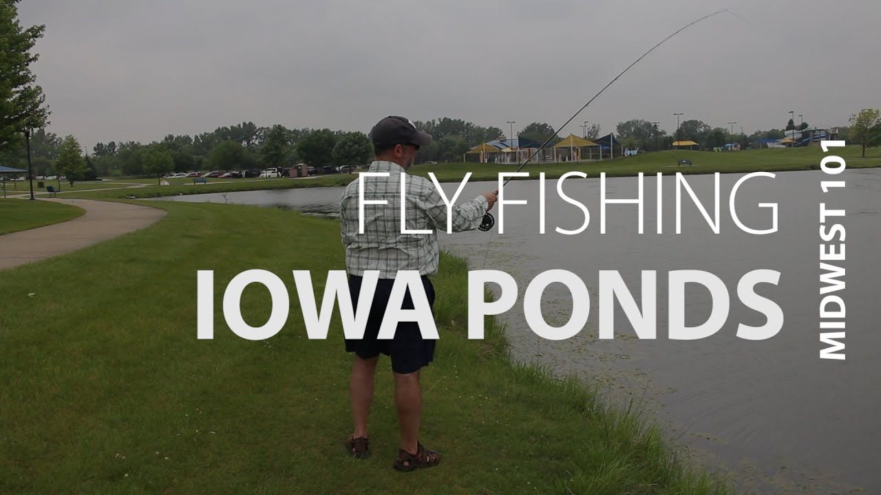 How To Fly Fish IOWA PONDS- MIDWEST 101 Fly Fishing - YouTube