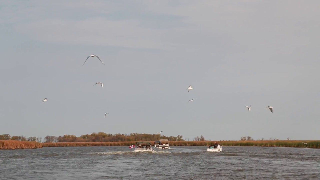 Netley-Libau Marsh Tour Oct 12, 2017 - YouTube