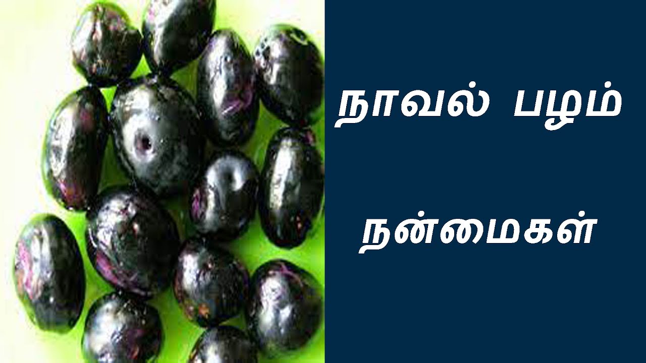 நாவல் பழத்தின் நன்மைகள்/naval pazham nanmaigal/naval palam benefits in ...