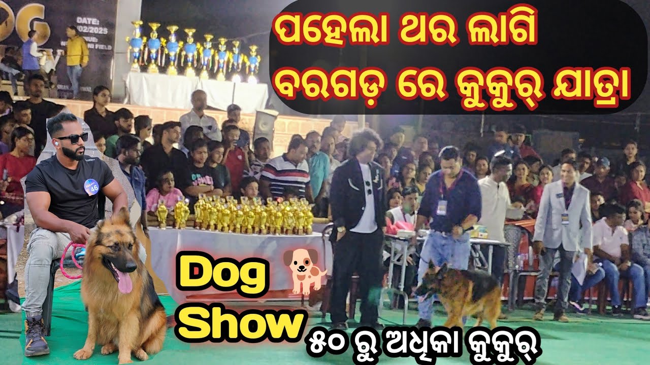Dog Show Bargarh Organised by JCI Bargarh ୫୦ ରୁ ଅଧିକା କୁକୁର୍ ସାମିଲ୍ ...