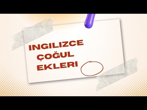 ingilizce çoğul ekleri 2 #ingilizceöğreniyorum #ingilizce #ingilizceçoğulekleri