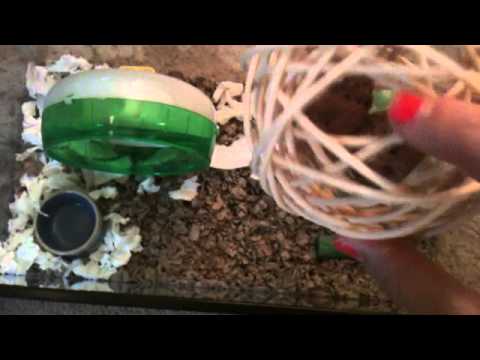 October | Cage Tour - YouTube