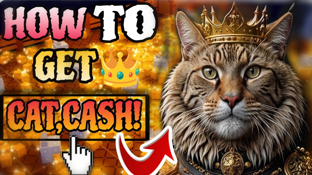 How To Get MONEY CATS 💰 Make [💫] CATS to CASH! NEW Update + All Working ...