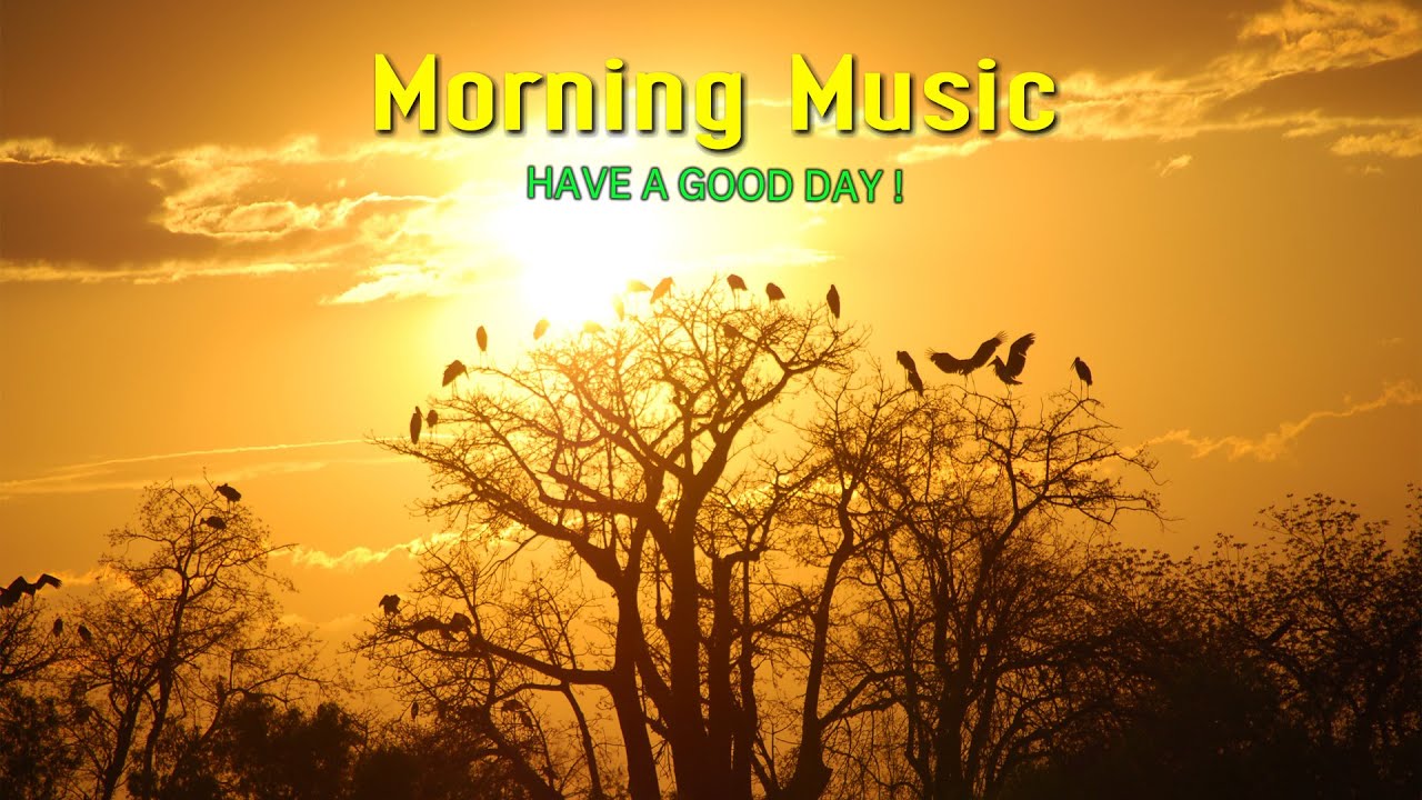 AMAZING MORNING MUSIC - Happy Awakening With Positive Energy🎵Soft Music ...