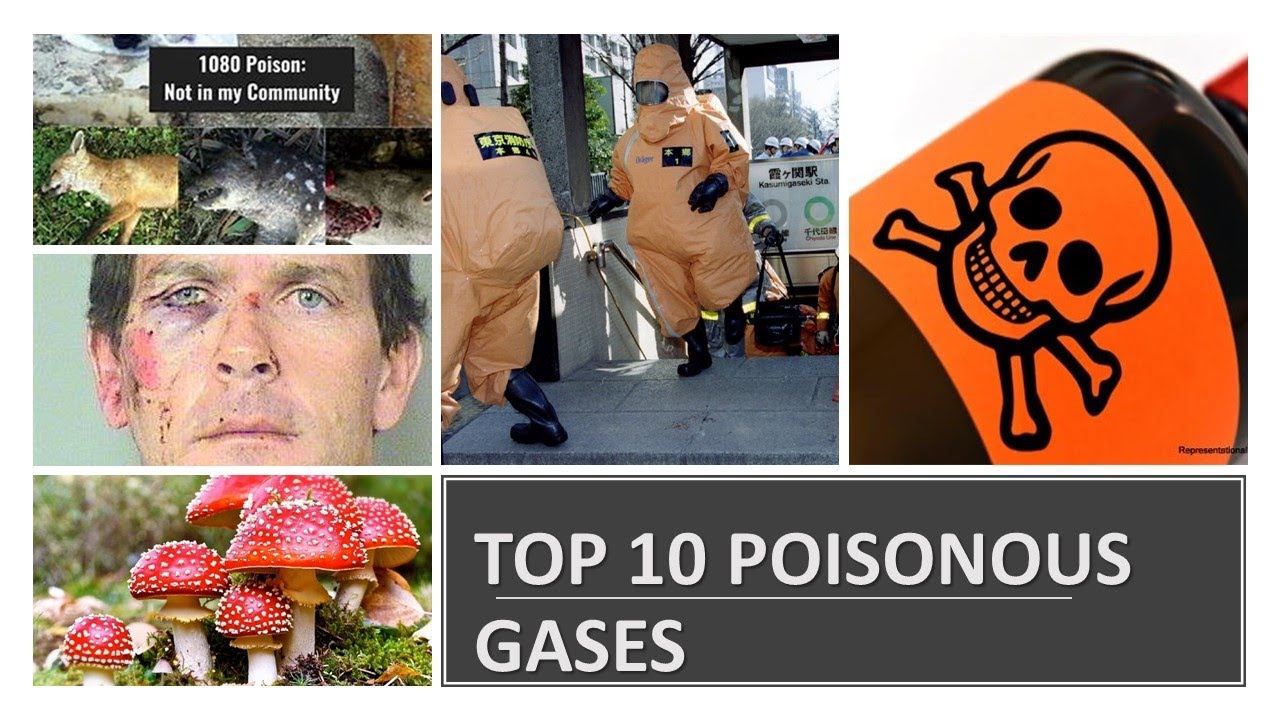 TOP 10 POISONS || THE MOST POISONOUS SUBSTANCE IN THE WORLD - YouTube