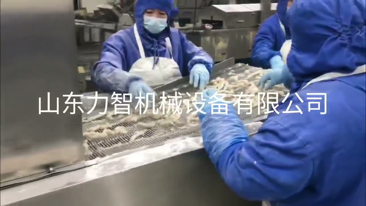 Preduster flour coating machine for chicken tenders, chicken popcorns - YouTube