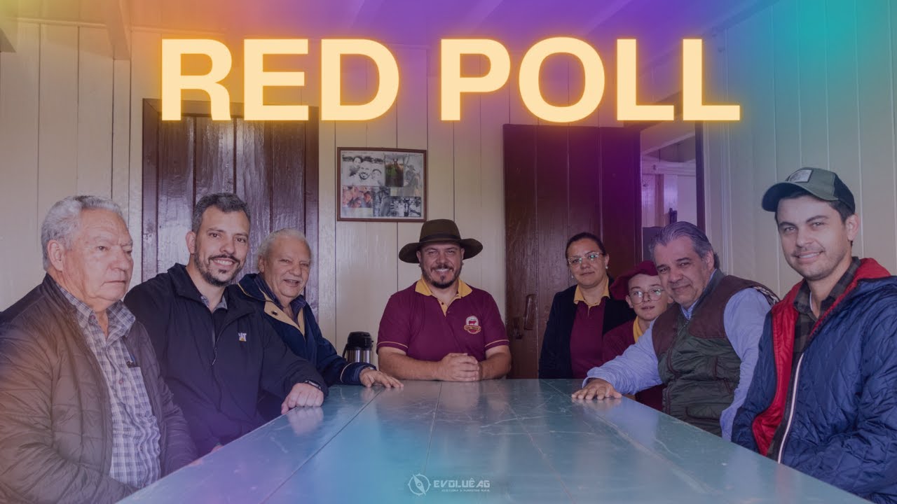 Conheça a diretoria da Associação Brasileia de Criadores de Red Poll ...