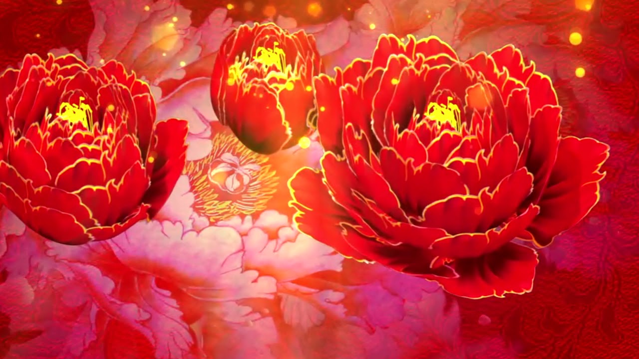 Chinese style, red, rose photography&wedding background - YouTube