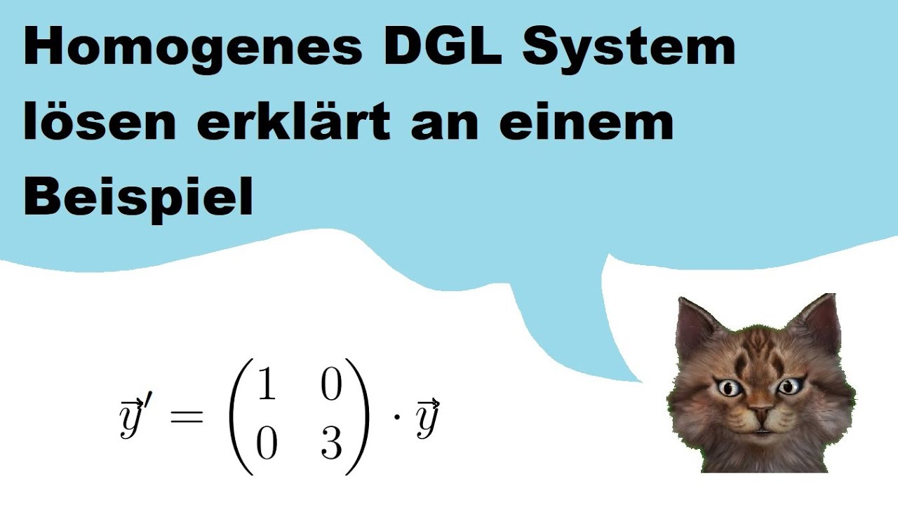 Wie kann man ein homogenes System von Differentialgleichungen (DGL ...