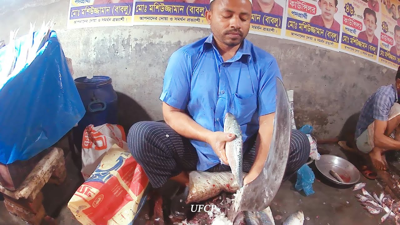 Never Seen! Amazing Hilsa Fish Cutting Live In Fish Market- Ilsa Fish ...