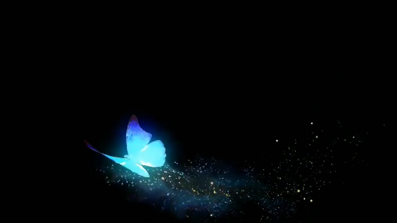 blue butterfly black screen | black screen butterfly effect | black ...