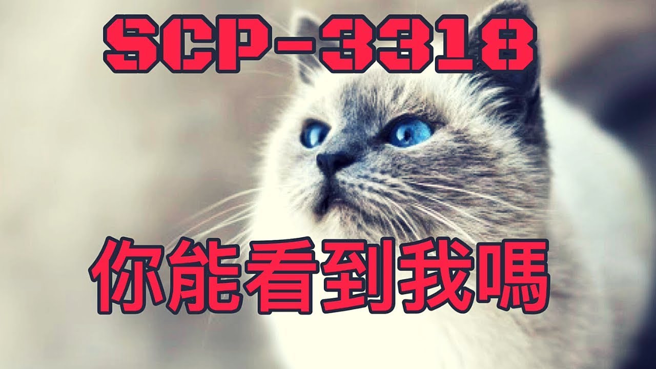 SCP基金會 SCP-3318 CAN YOU SEE ME 你能看到我嗎 - YouTube