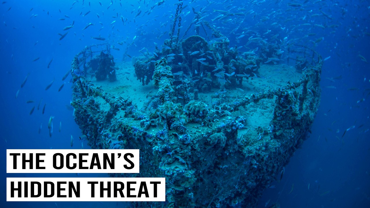 Are WWII Shipwrecks Killing Marine Life? (4K Documentary) - YouTube