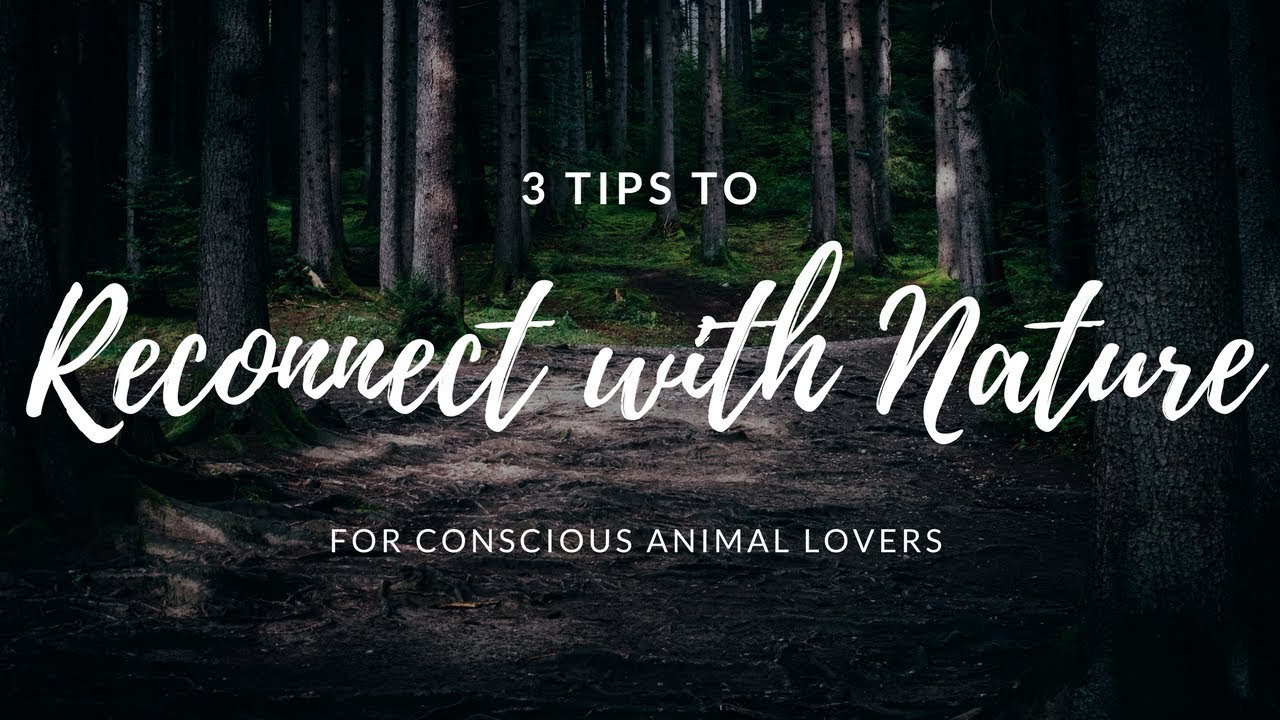 3 tips for when you feel disconnected from nature - YouTube