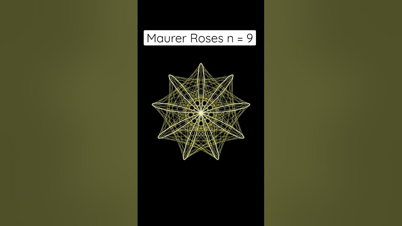 Maurer roses when n = 9 - YouTube