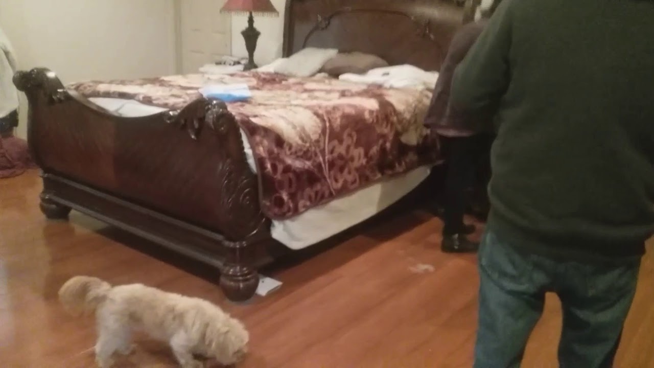 Dog poop prank part 2 - YouTube