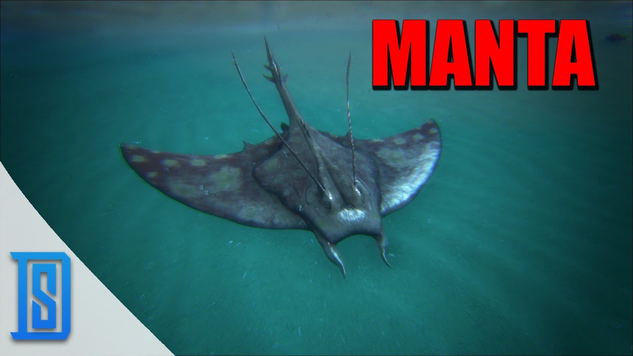 Ark: Survival Evolved-NEW DINO-MANTA RAY/MANTA RAY RACE? - YouTube