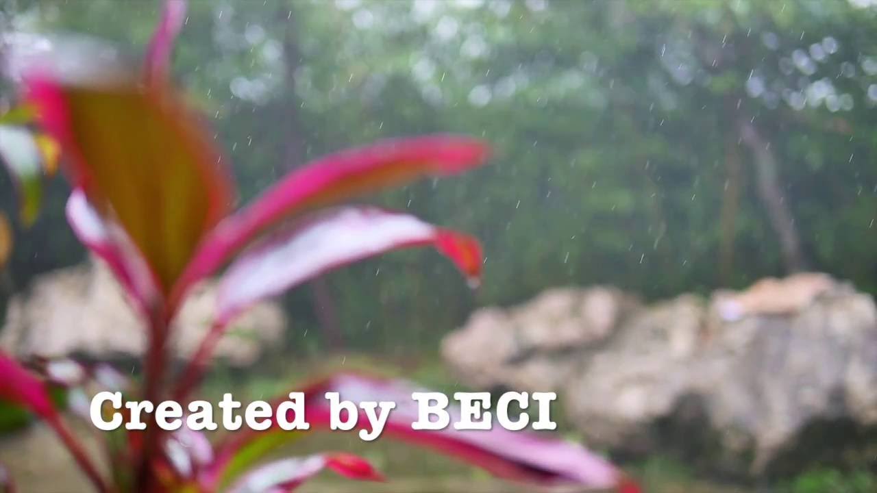 THE API BECI #16_BECI Marketing Team on a rainy day - YouTube