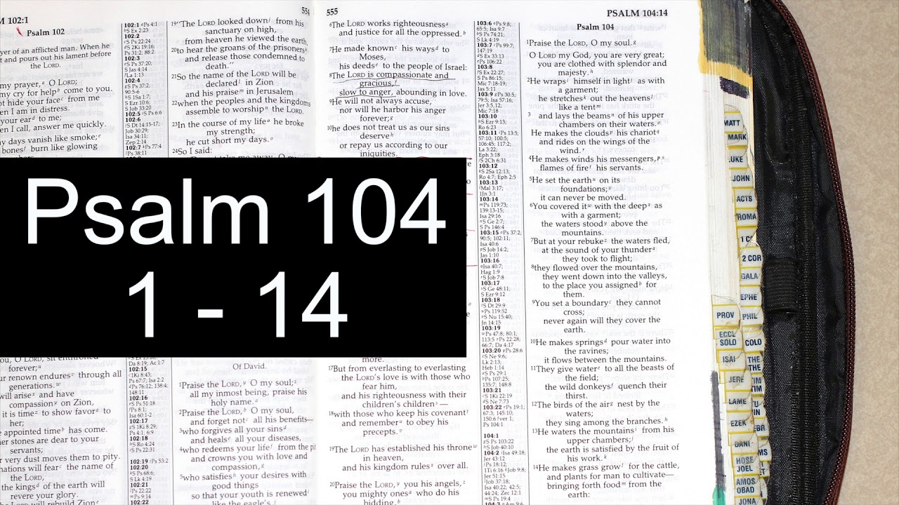 Holy Bible Psalm 104 1 35 YouTube Holy Bible Psalm 104 1 35 YouTube