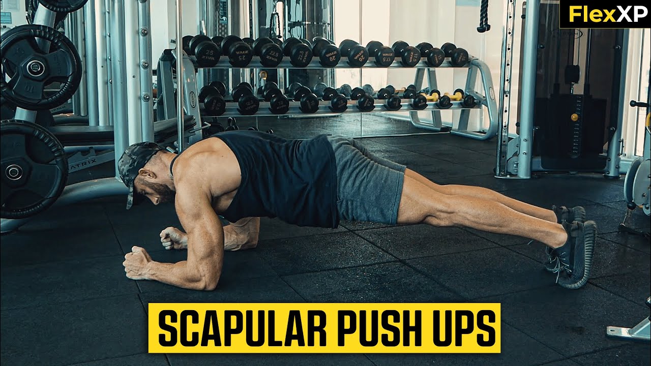 Scapular Push Ups Form & Tutorial Guide (30 Seconds) - FlexXP - YouTube