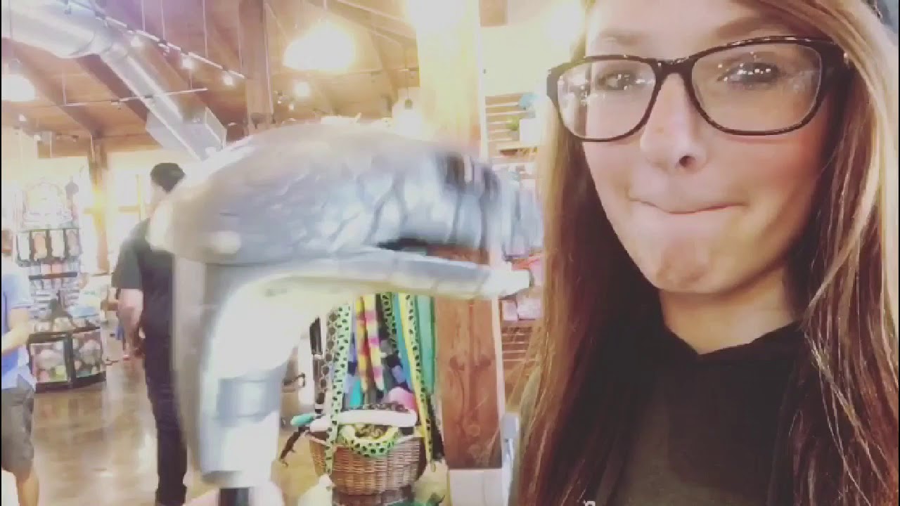 Meet Kaa the snake puppet - YouTube