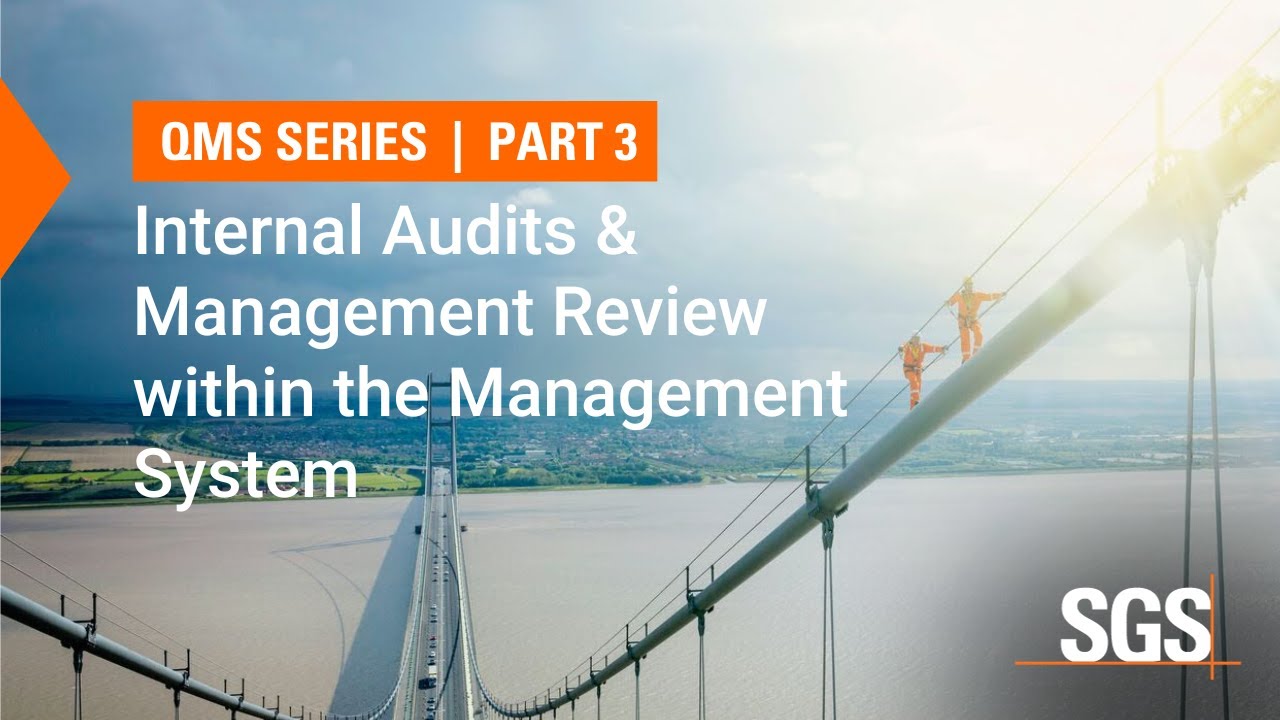 Internal Audits & Management Review within the Management System - YouTube