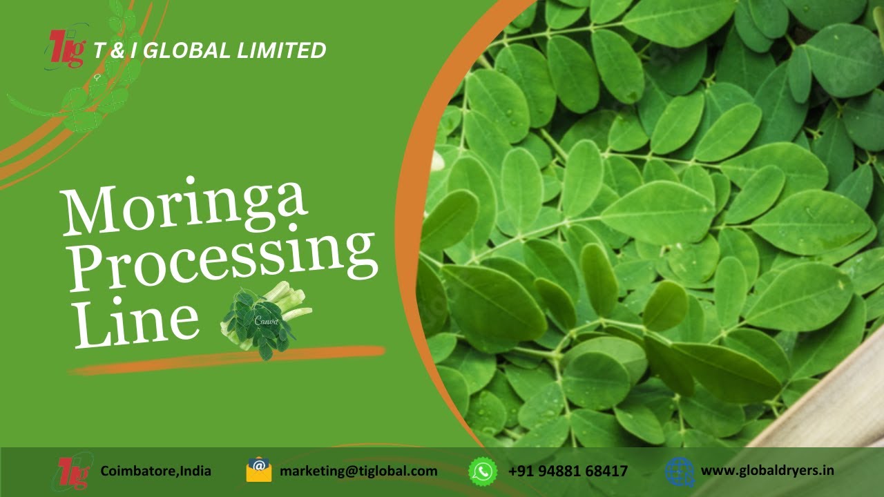 Moringa Processing Line - YouTube