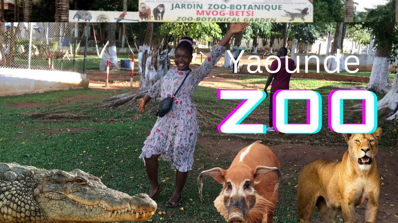 First time visiting a zoo….. was so scared - YouTube