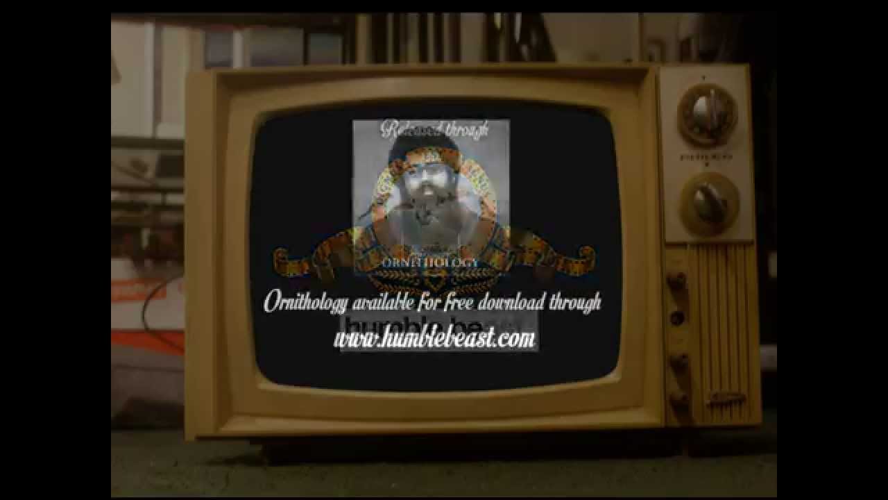 The Never Haves- by Foreknown (with lyrics) - YouTube