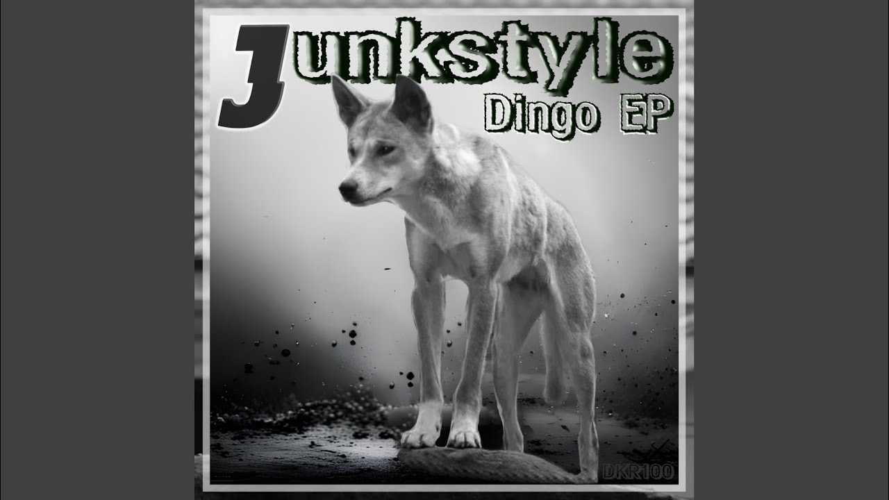 Dingo - YouTube